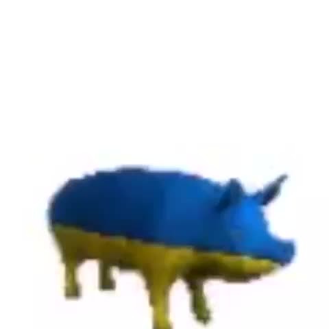 cerdo - Meme subido por samdia_lololol :) Memedroid