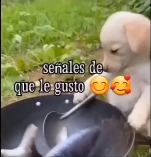 Memes rancios - Meme by memerobadoXD :) Memedroid