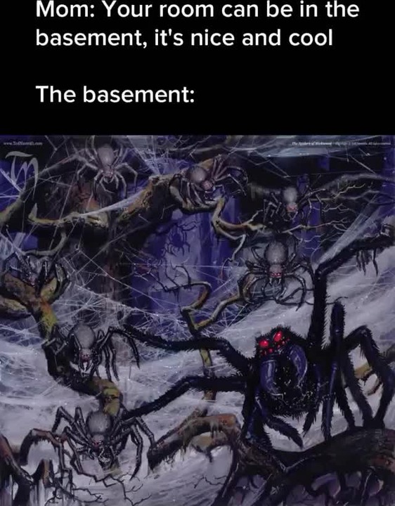 Basement meme - Meme by FuzzyGrim :) Memedroid