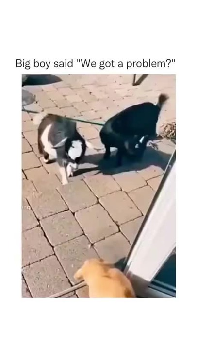 Wait a second - Meme by PERIXZ :) Memedroid