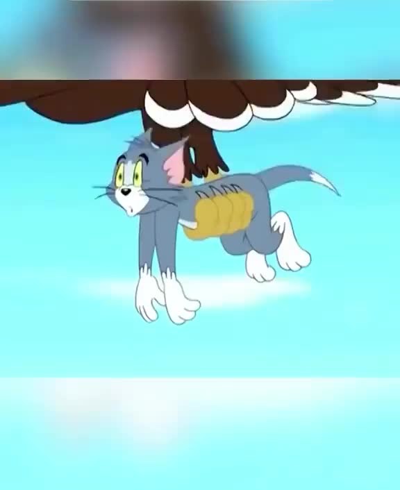 As maiores peripécias do Toshiba - Meme by Ednaldoagiota :) Memedroid