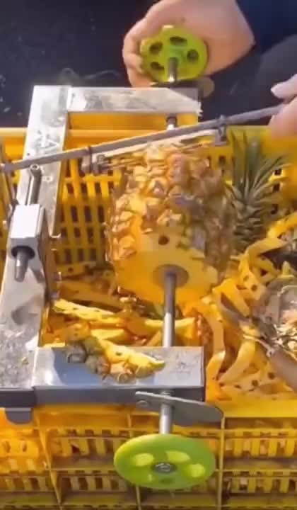 Peeling and cleaning a pineapple - Meme by schizoidman :) Memedroid