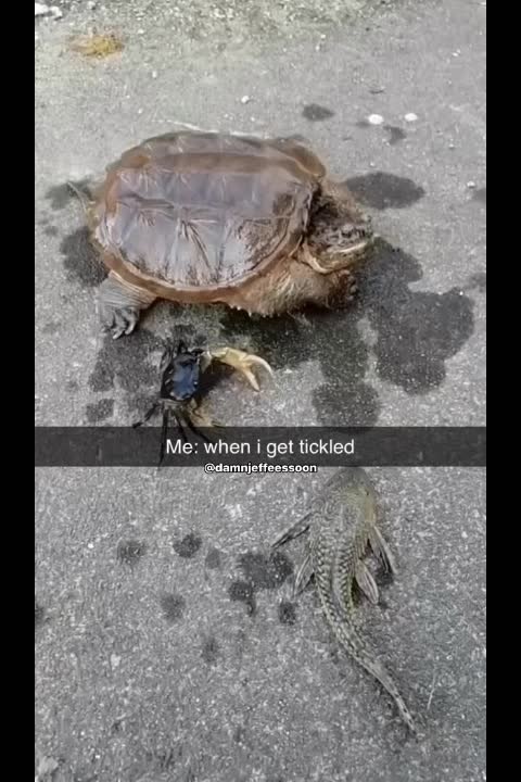 Odd trio of friends - Meme by Cliffy_99 :) Memedroid