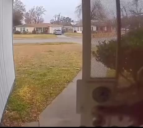 Squirrel attack - Meme by ZeroNumbCold :) Memedroid