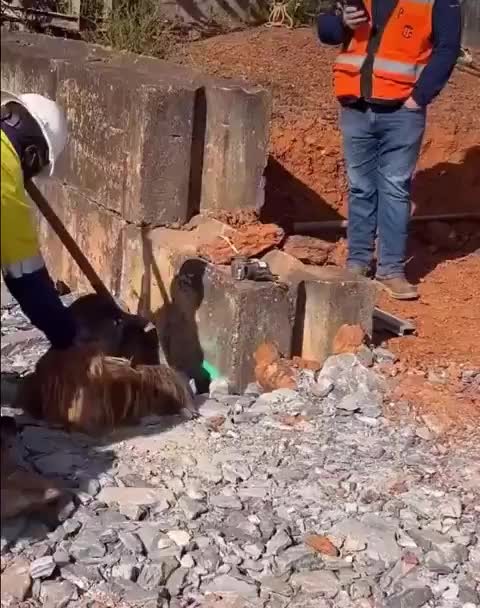 Look at him soar - Meme by Mireska :) Memedroid