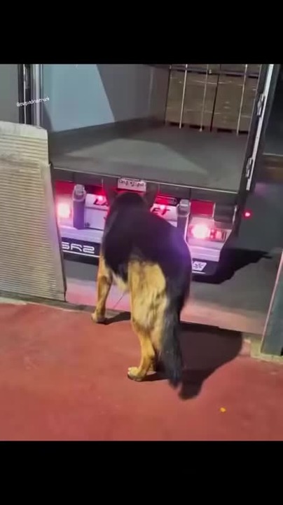 You're doing a good job buddy - Meme subido por oceanapple :) Memedroid