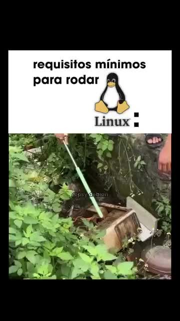 Requisitos mínimos para instalar Linux: fe en Debian y cero miedo al ...