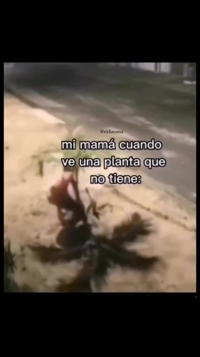 Mi madre viendo una planta seca y declarando estado de emergencia ...