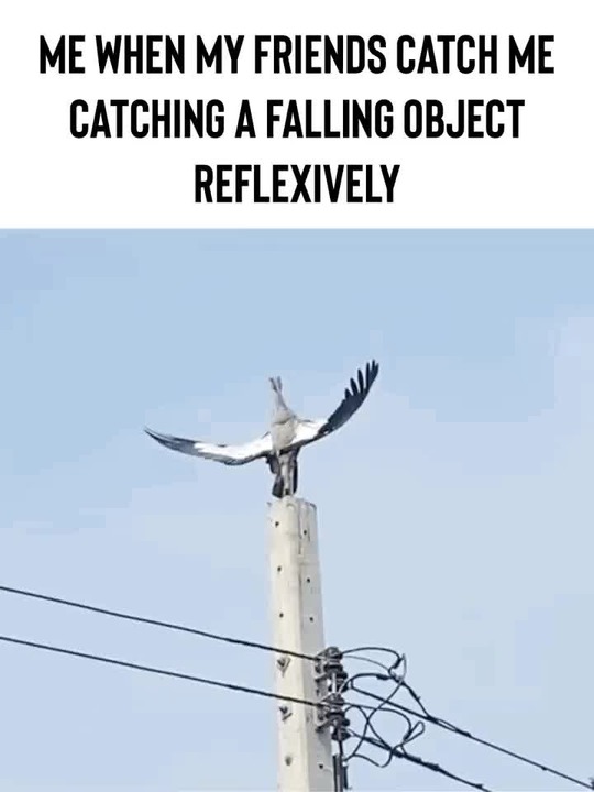 that's me - Meme by BluewoMeme :) Memedroid