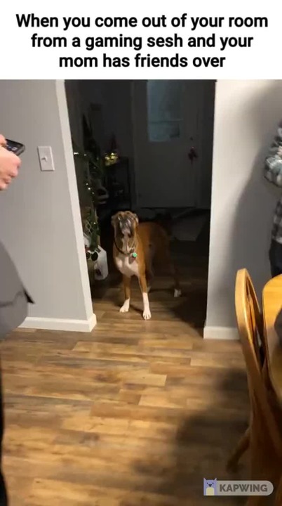 Strangers danger - Meme by Disappointed_father :) Memedroid