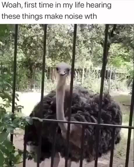 When inanimate objects start speaking fluent horror - Meme by woowerse ...