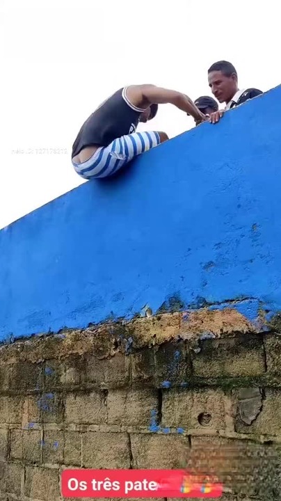 Catch! - Meme subido por TheToxicFrog :) Memedroid