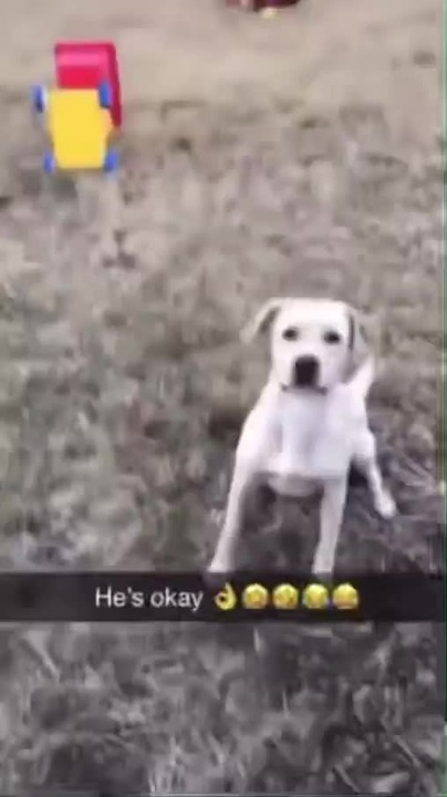 Weee - Meme subido por nigganiggaXD :) Memedroid