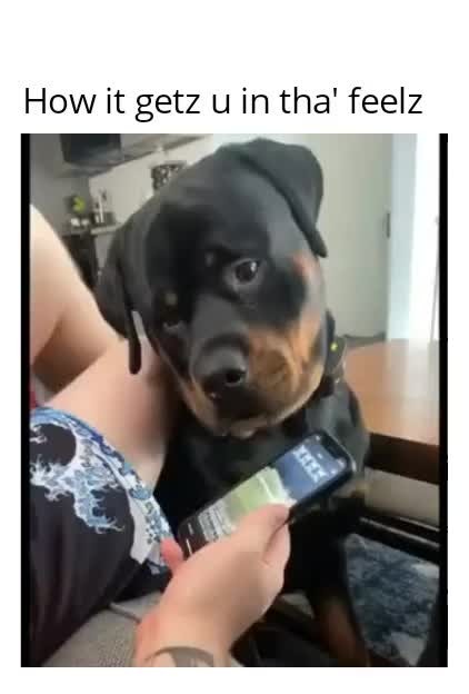 I'm being serious rn fer Pete's sake! - Meme by Che_D_Lay_sir :) Memedroid