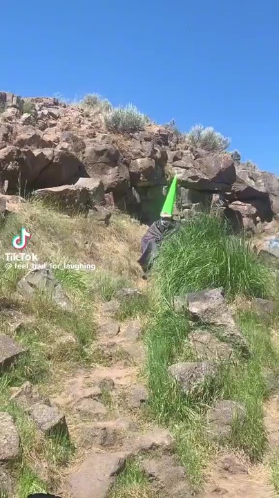 Green wizard meme - Meme subido por LEWIS55 :) Memedroid