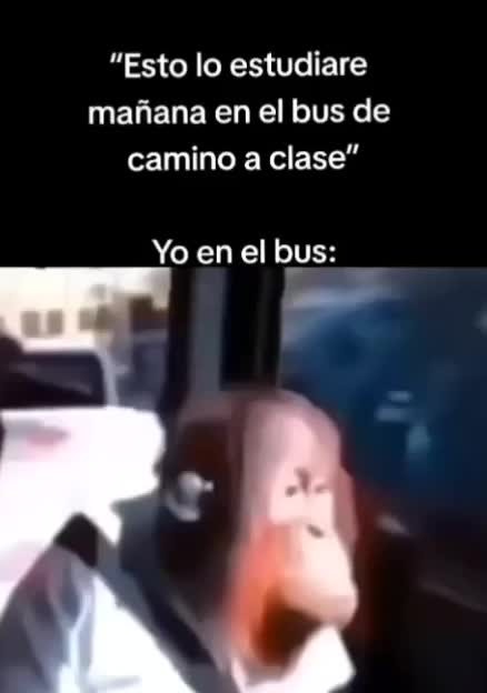 Lo estudiaré en el bus - Meme subido por luchito_gmez :) Memedroid