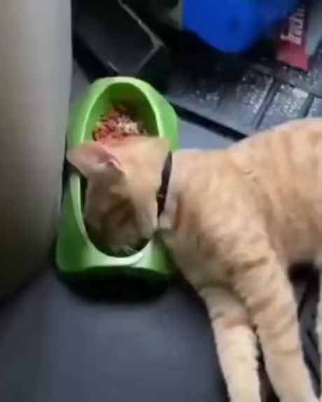 week meme - Meme by BenBluel :) Memedroid