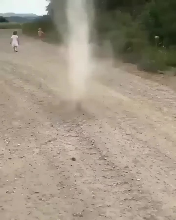 Cachorro acabando com a alegria do Saci - Meme subido por Matuto_o ...
