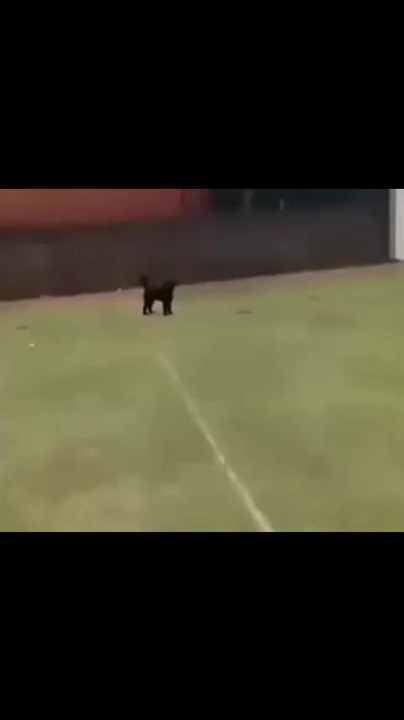 Ohh dear - Meme by The_dankrising :) Memedroid