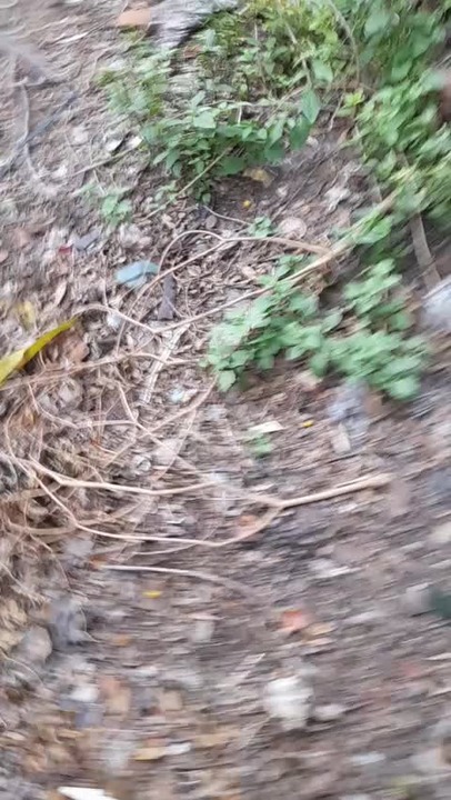 Perdonen el lenguaje. Pero hoy tengo que hacer un video especial - Meme ...