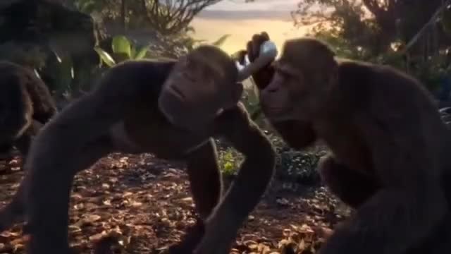 Sin título - Meme subido por -NapTrollo- :) Memedroid