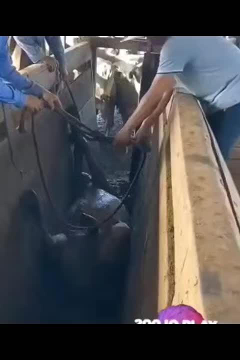 Get rotated - Meme by Cliffy_99 :) Memedroid