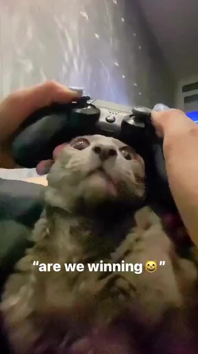 Ibex sew g - Meme by YourOtherLeft :) Memedroid