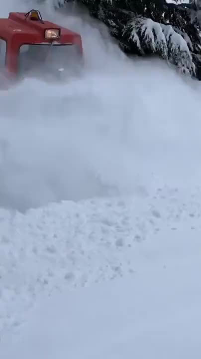 Where is the rest of carousel? - Meme by HelgiTheHaggard :) Memedroid