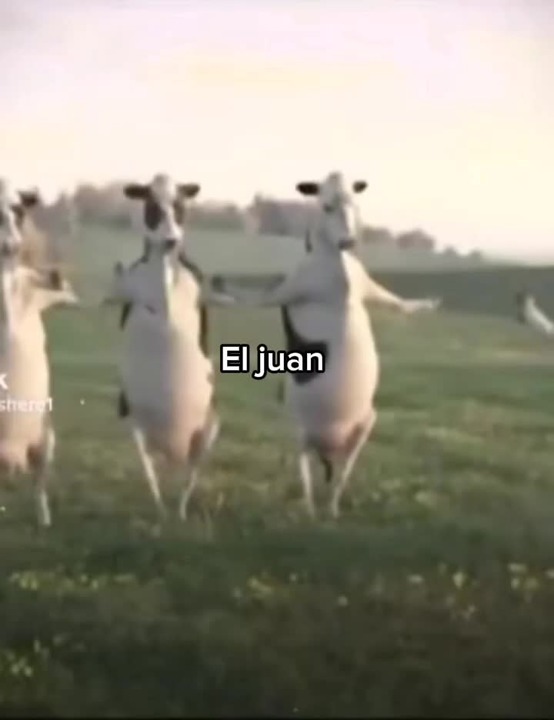 Siu - Meme subido por Gab1937 :) Memedroid