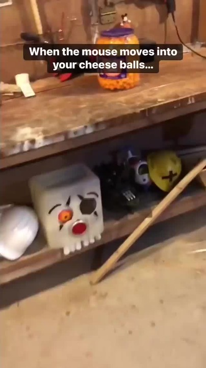 Mouse just claimed squatters rights inside the cheese balls - Meme by ...