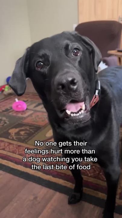 where’s mine - Meme by tamikins123 :) Memedroid