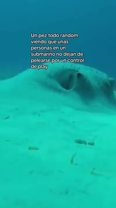 Mas memes del submarino - Meme subido por El_Vergudo :) Memedroid