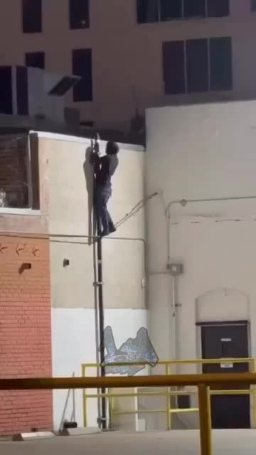 He ded - Meme by xRockinZombiex :) Memedroid