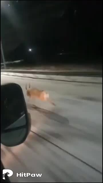 Está loco - Meme subido por soooooooo :) Memedroid