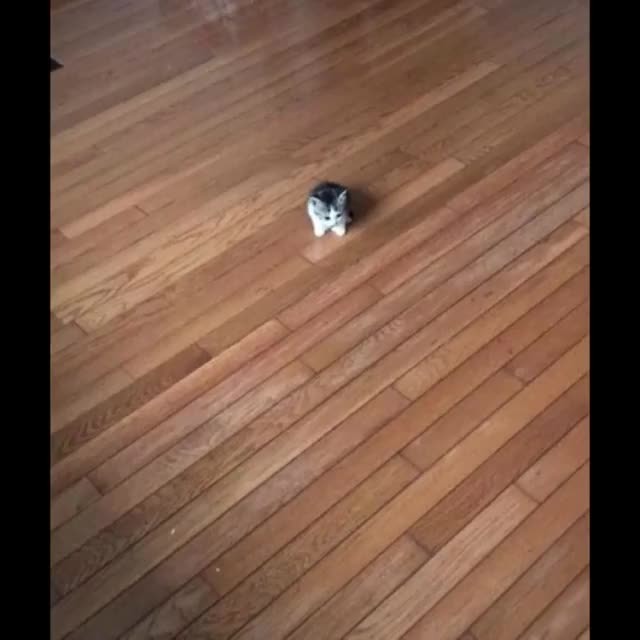 Ket - Meme by PASSWORD123456789 :) Memedroid