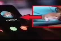 Robert - Meme by KermRetrasado :) Memedroid