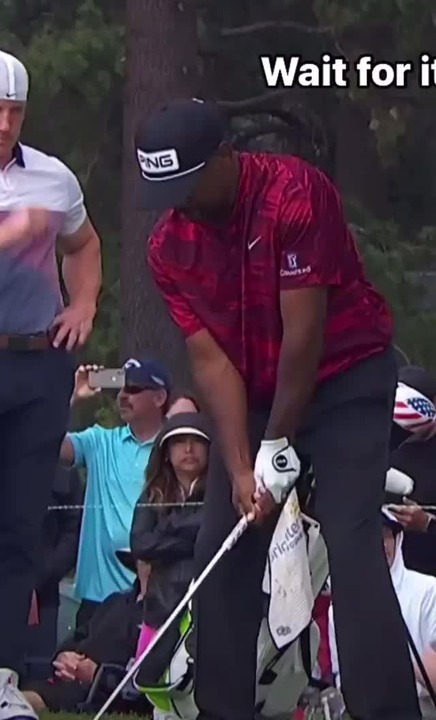 Let's go Carlton - Meme by TristanaGOLD :) Memedroid