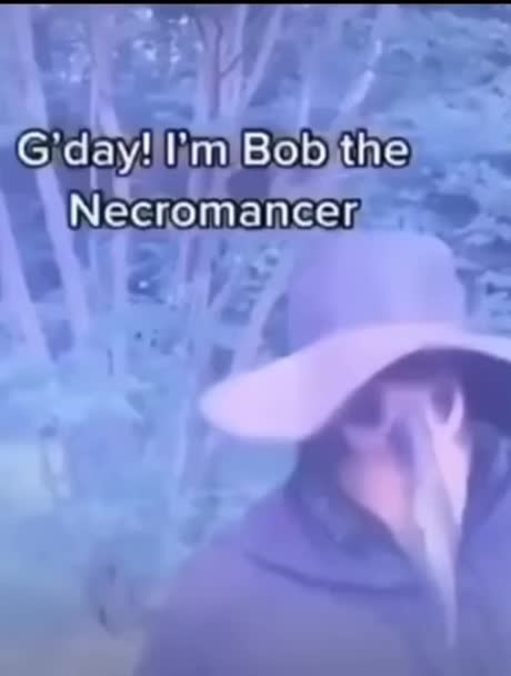 Bob the Necromancer - Meme by libbyspiral :) Memedroid