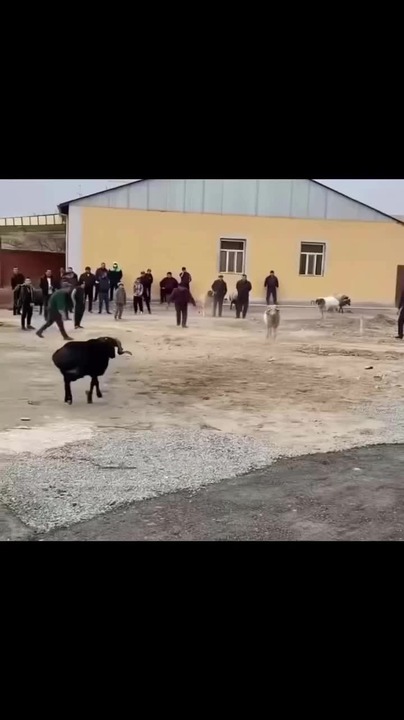 Combo - Meme subido por Kaleno87 :) Memedroid