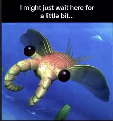 Return to fish - Meme by Jackfae :) Memedroid