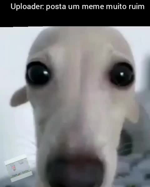 Esse meme não ruim - Meme by Chidoricat :) Memedroid