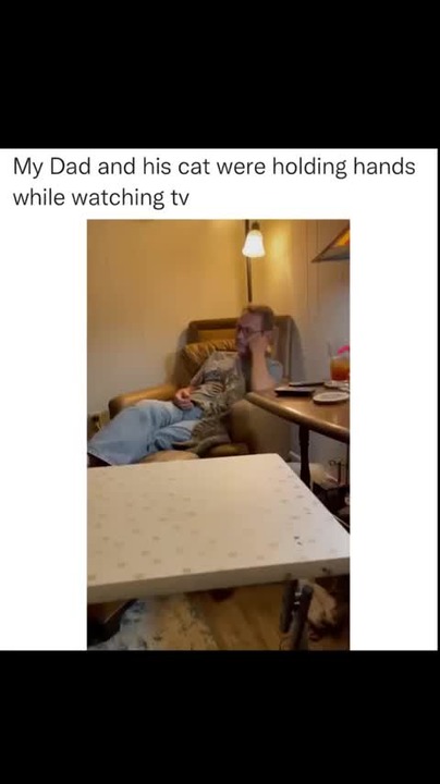 very comfy - Meme by jamjamhxm :) Memedroid