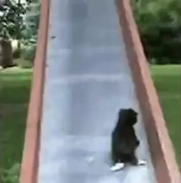 We do a little sliding - Meme by CaptainRex :) Memedroid