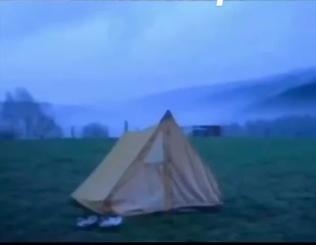 Security camera identifies nefarious shoe thief - Meme by ...