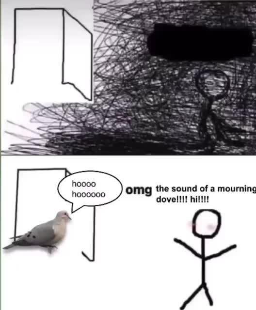 The mourning dove :0 - Meme by Knot_daddy :) Memedroid