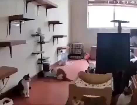 Si ete sech fuera un buscador se llamaría ete search - Meme subido por ...