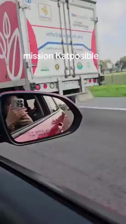 Kitty was scared after such a ride - Meme by blackbirdjay :) Memedroid