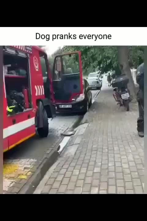 Hey step-doggo... - Meme by Cliffy_99 :) Memedroid