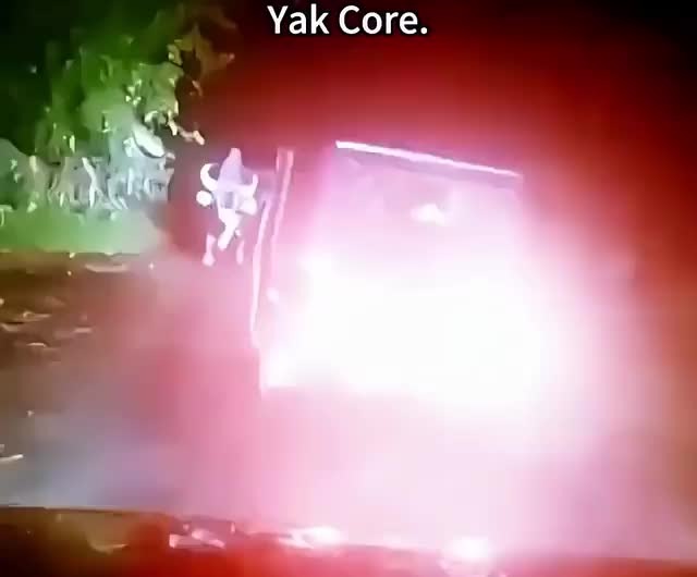 Yak core has entered the aesthetic lexicon - Meme by KevinKing :) Memedroid