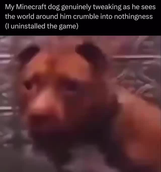 My Minecraft dog - Meme by RoboSheepz :) Memedroid